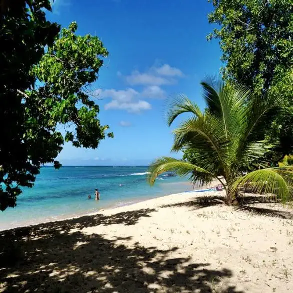 Vacances Guadeloupe avec bébé 18 mois: témoignage de maman