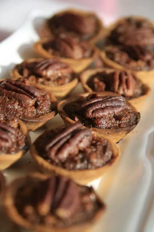 Visite d'Atlanta en famille | Blog VOYAGES ET ENFANTS