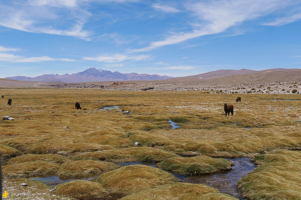 Tour Sud Lipez en autonomie, en famille et en 4x4 | Blog VOYAGES ET ENFANTS