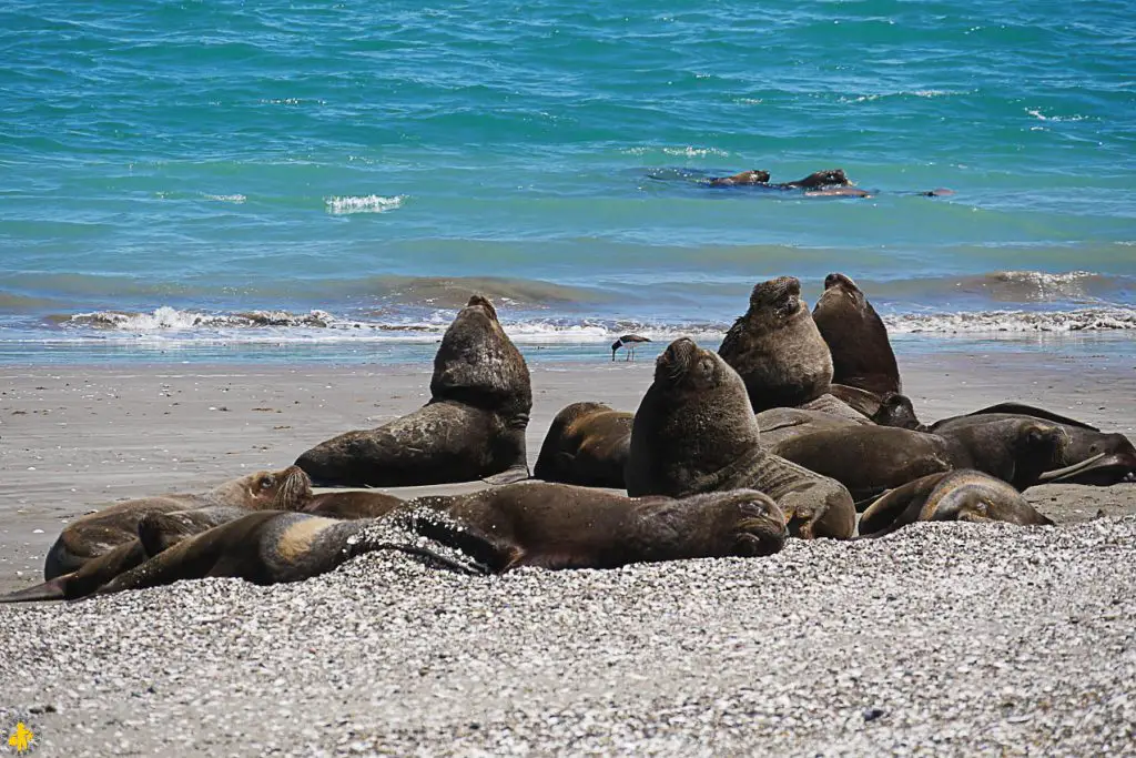 Route 1: de Viedma à las Grutas - Argentine en 4x4 et en famille | Blog ...